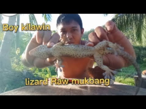 Gecko-lizard Raw mukbang, #Boy kilaw #kinilaw nga Tuko #kilaw lizard ...