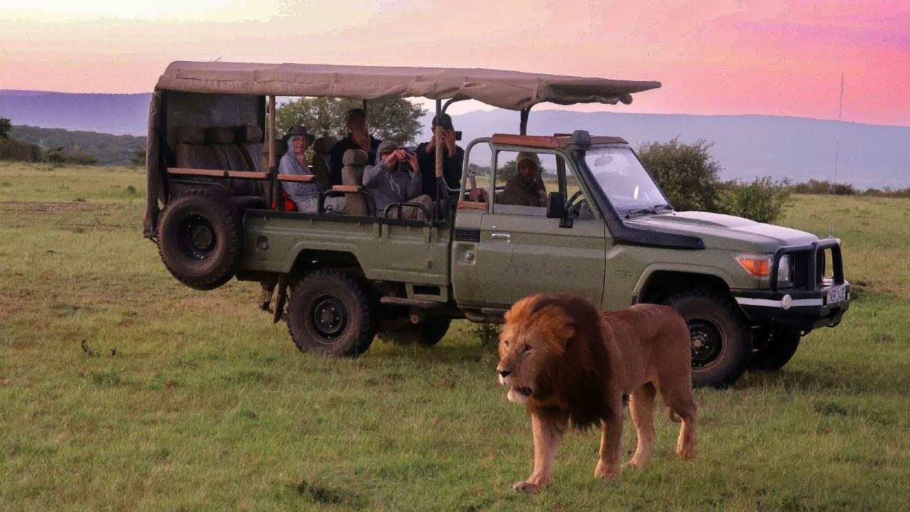 What to Expect on an African Safari - YouTube