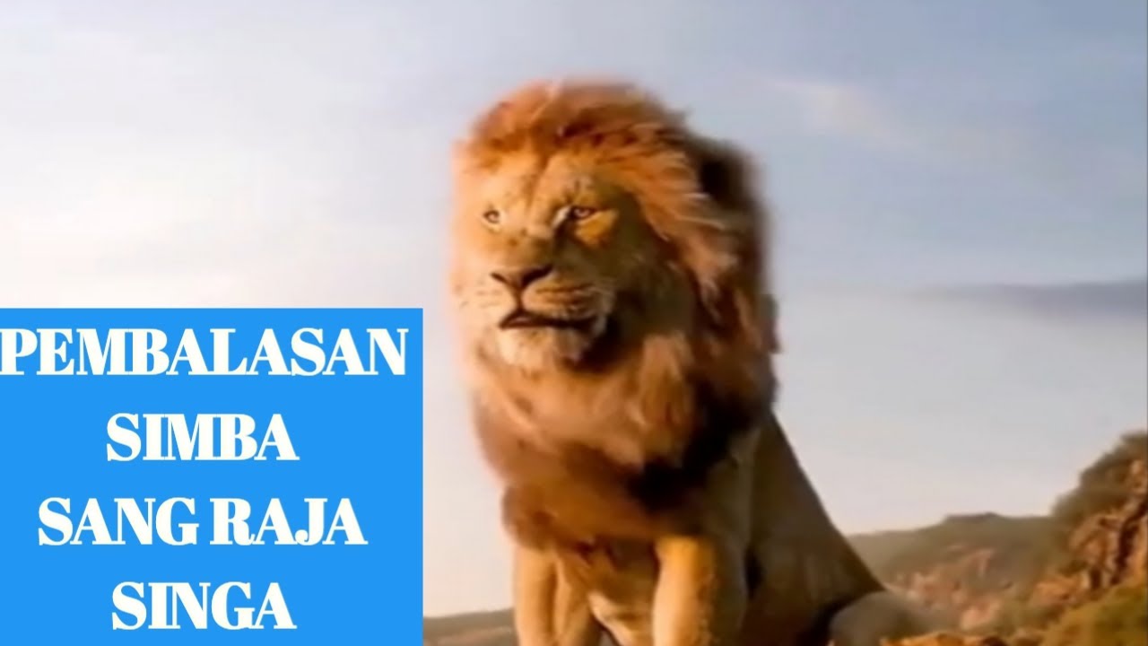 Pembalasan SIMBA Sang Raja Singa - YouTube
