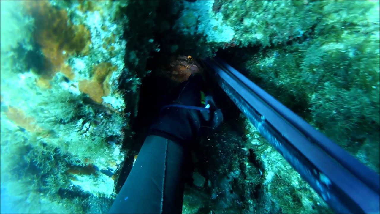 Αντιπερισπασμος στο ψαροντουφεκο \ Spearfishing diversion - YouTube