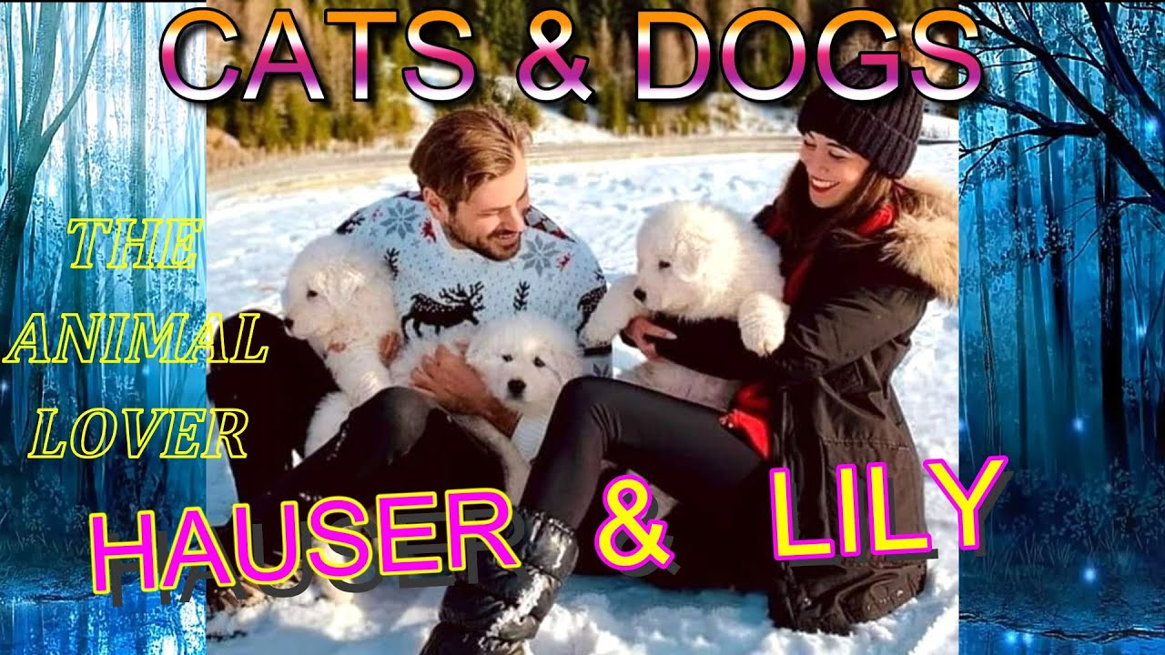 HAUSER & LILY, CATS & DOGS, THE ANIMAL LOVER - YouTube