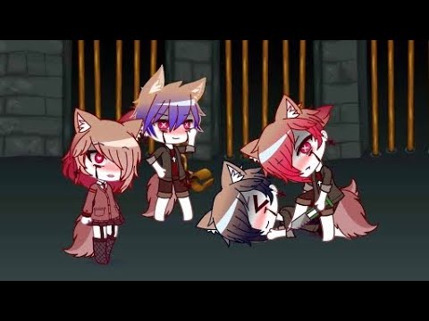 Wolf gives birth 2 🫣 Gacha club mpreg //#gacha #gachaclub #gachalife