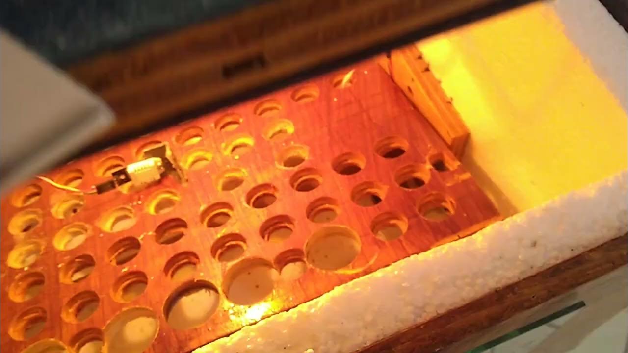 incubadora casera con Arduino - YouTube