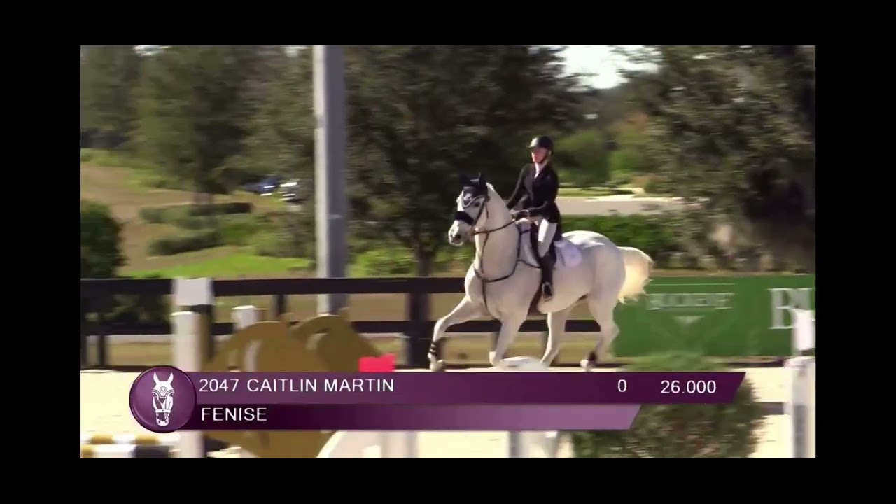 Katelyn Martin and Fenise 1.10m clear - YouTube