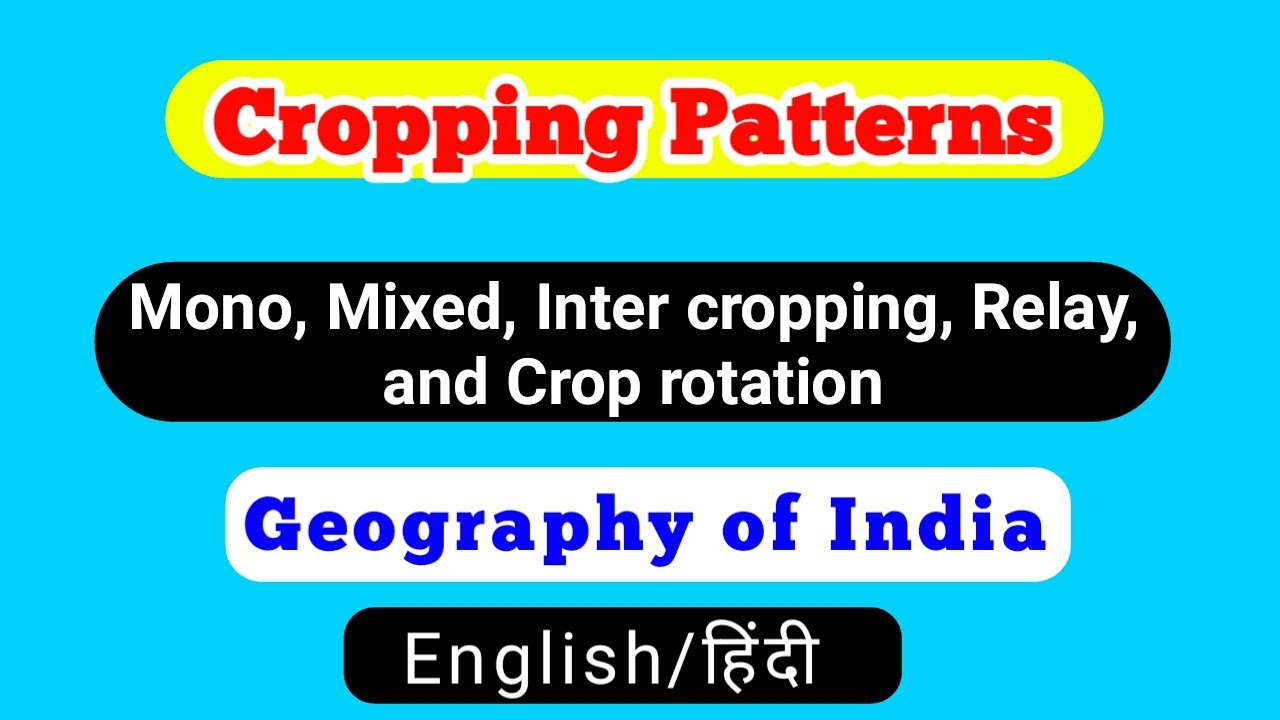 Cropping Patterns| फसल के पैटर्न।Agriculture geography mains| Geography ...