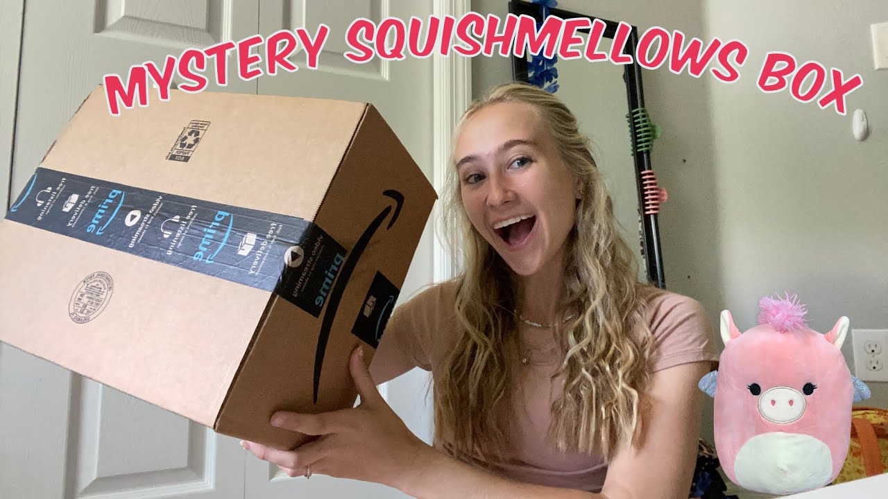 MYSTERY SQUISH MELLOW BOX HAUL FROM AMAZON - YouTube