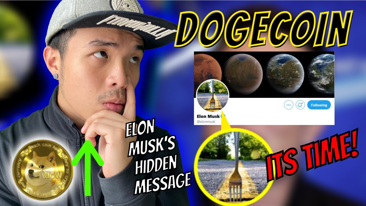 Dogecoin Price UPDATE ! What does Elon Musk Fork actually mean? - Road ...