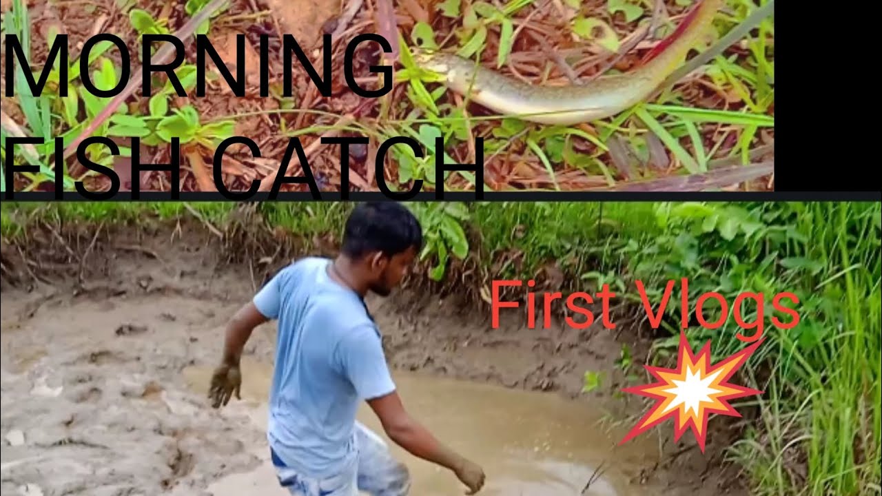 atla fish catching and villagecooking #fish #fishing #shirts ...