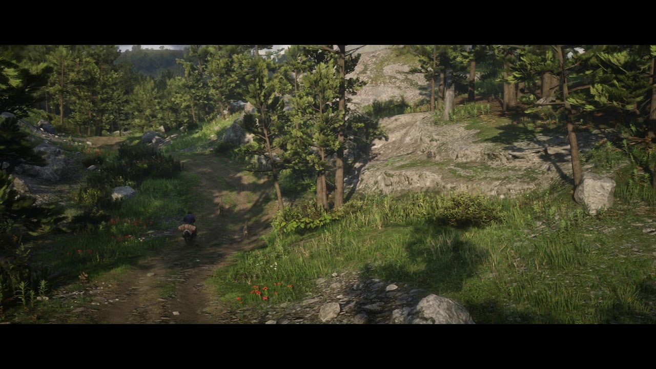 Well, at Least My Insurance Rates Won't Go Up #RDR2 - YouTube