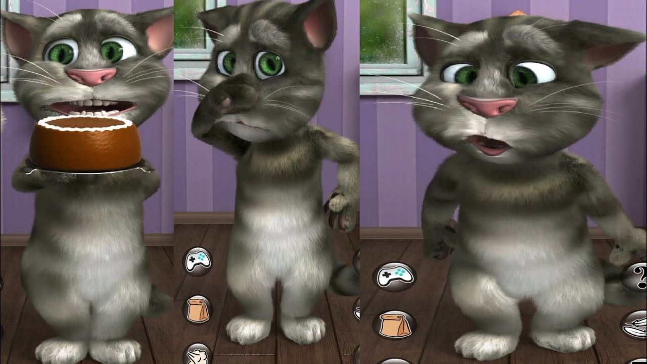 Talking Tom Cat Eating icecream and birthday cake, Cat Cartoon, Cat's ...