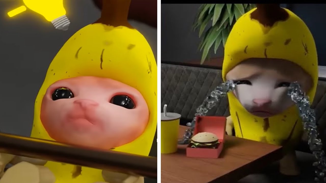 New Happy Cat Animations | Happy cat best compilation - YouTube