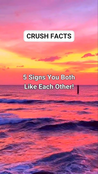 5 Signs You Both Like Each Other! Crush Facts #shorts #psychologyfacts - YouTube
