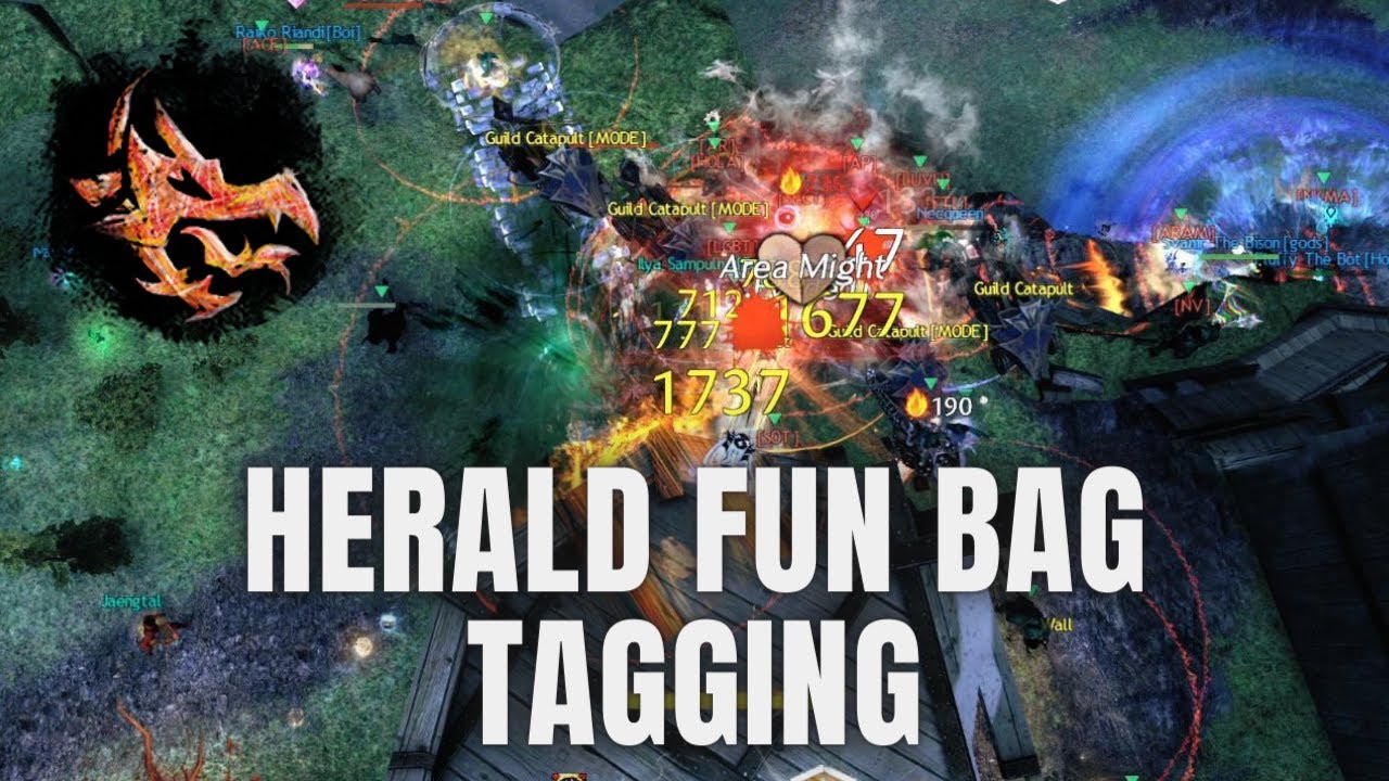 Celestial HERALD GW2 BAG TAGGING WVW Bonus Event XP Farming 2024 - YouTube