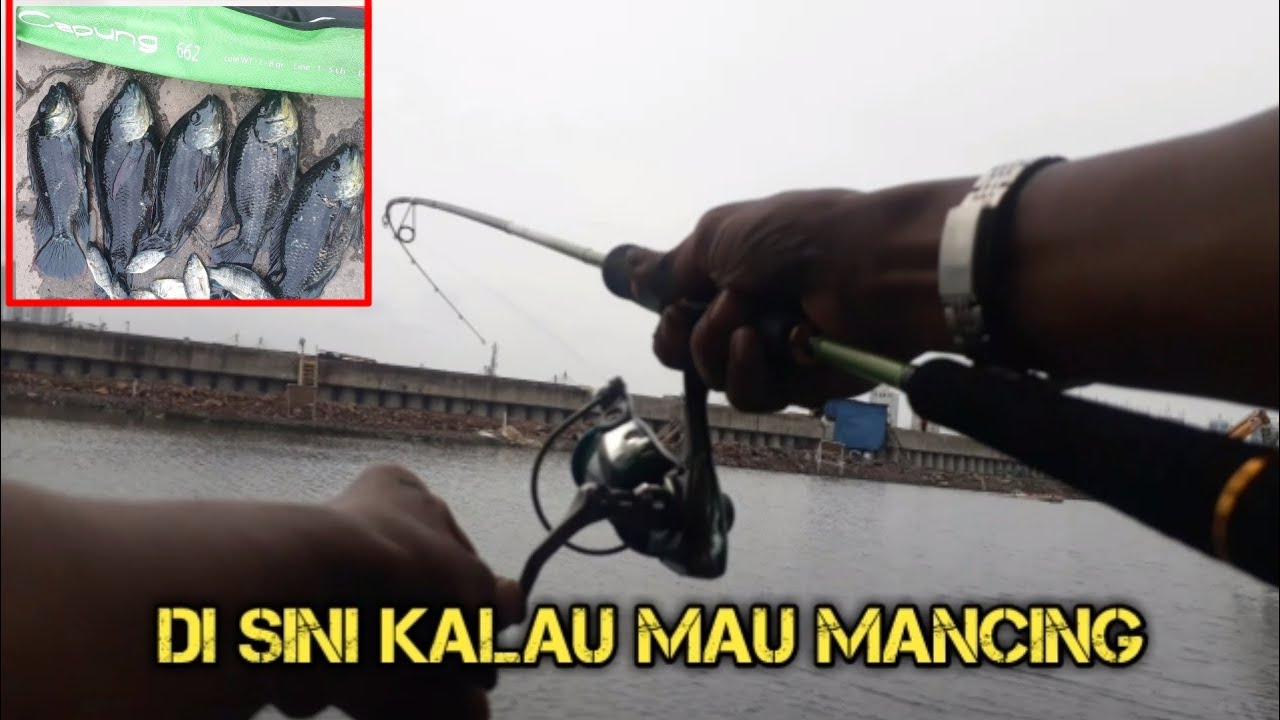 Mancing muara baru || ikan mujaer - YouTube