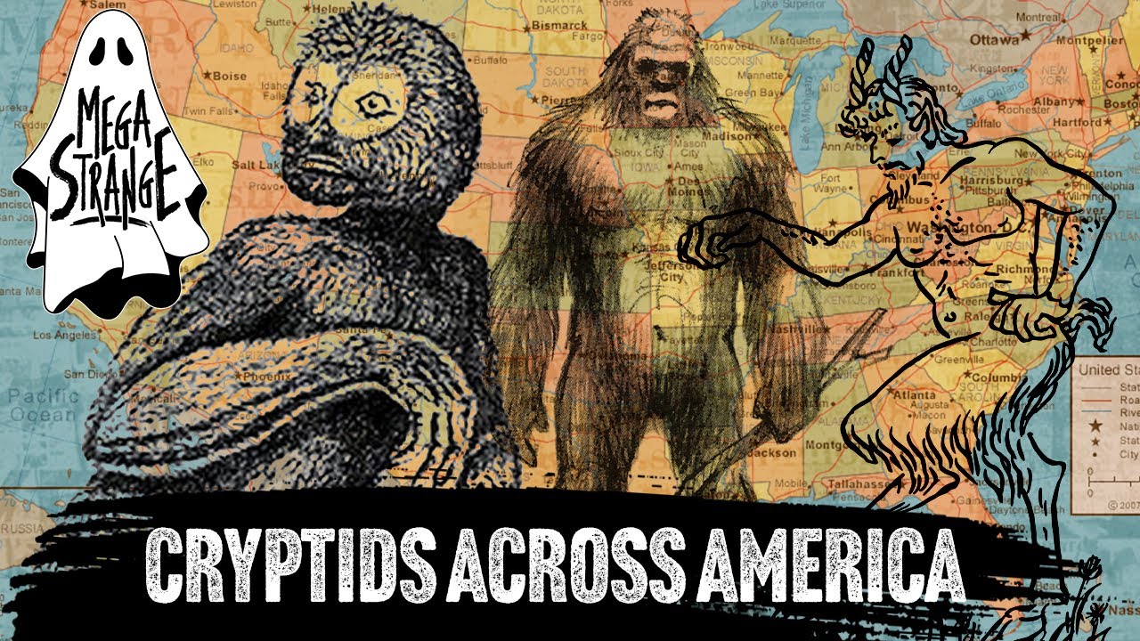 Skunk Ape of Florida & The Pope Lick Monster - Cryptids Across America ...
