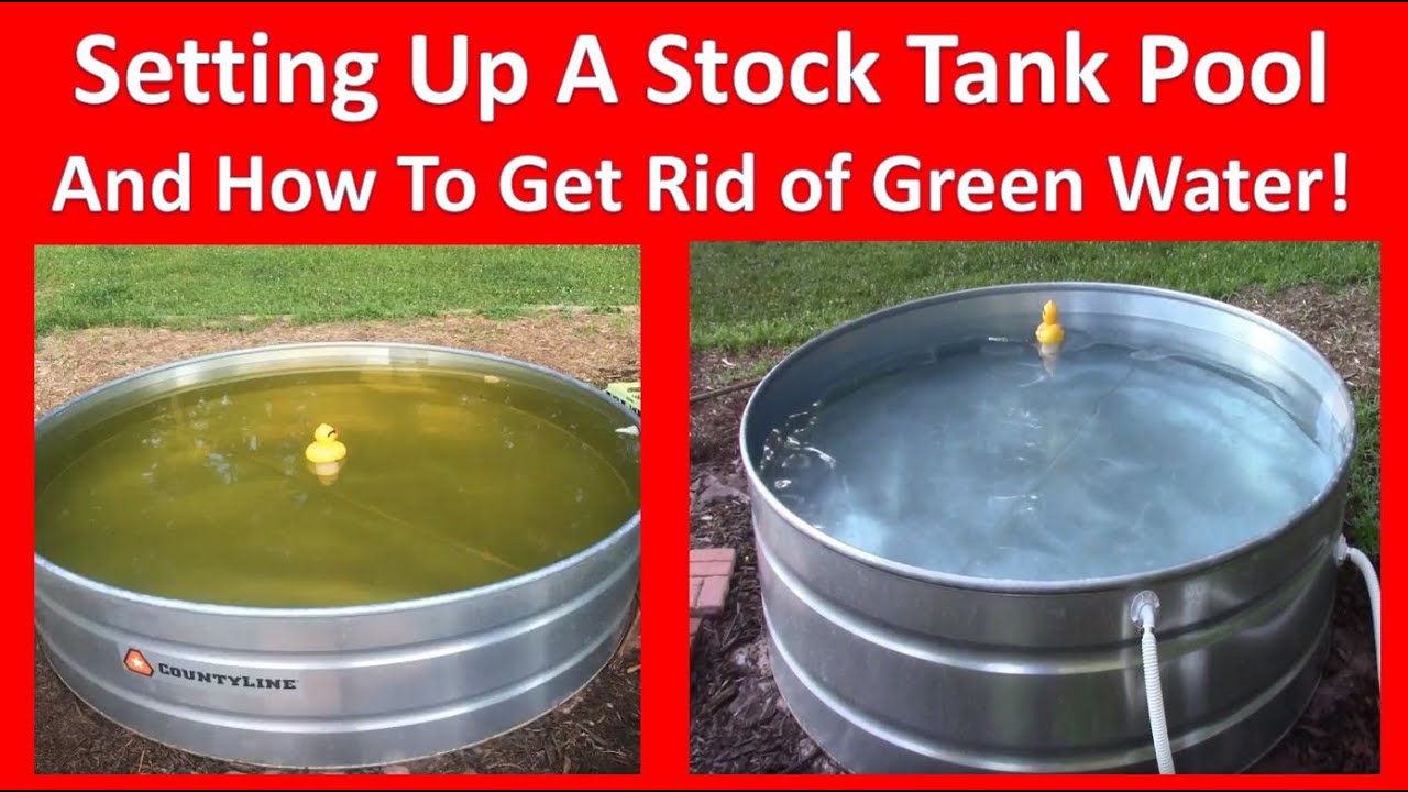 DIY Stock Tank Pool And Getting Rid of Green Water - YouTube