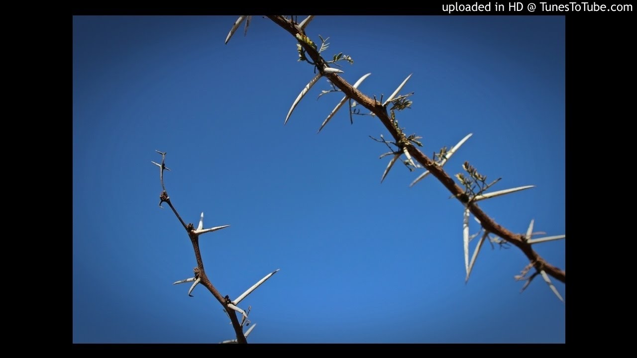 Martin Watt: "Winternag" uit "Vyf Liedere op gedigte van Eugéne Marais ...