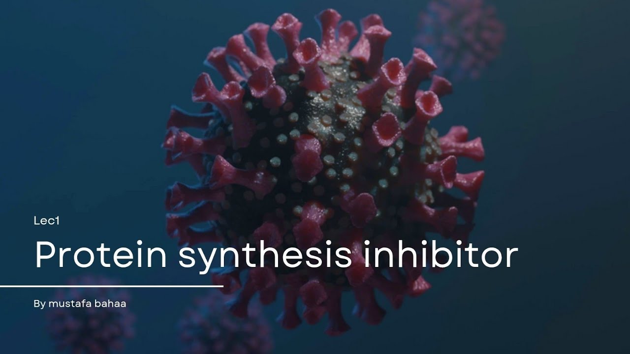 chapter 30 || protein synthesis inhibitor || lec1 - YouTube