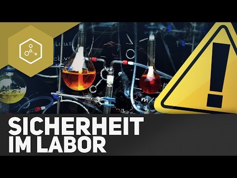 Ab ins Labor -  HALT STOPP!