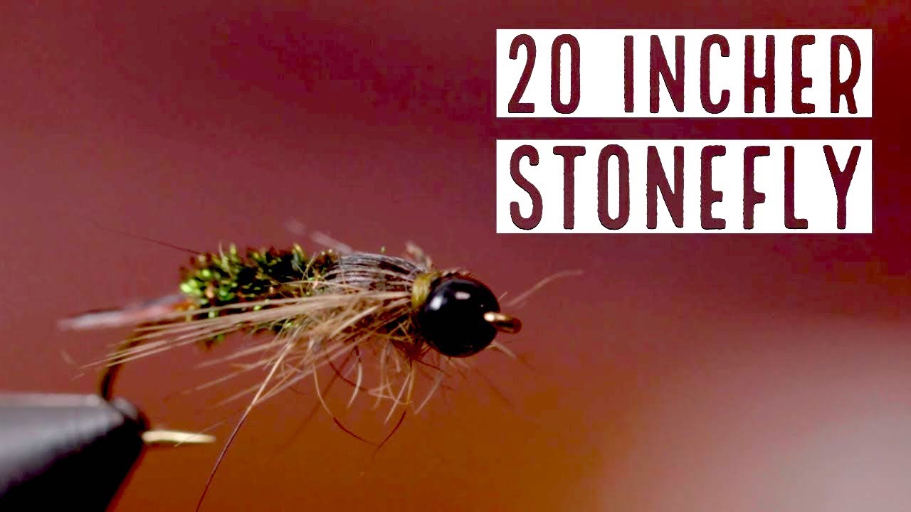20 Incher Stonefly Nymph (Fly Tying Tutorial) - YouTube