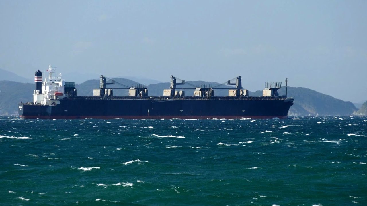 Wood Chips Carrier “CRIMSON POLARIS” 神島沖 - YouTube
