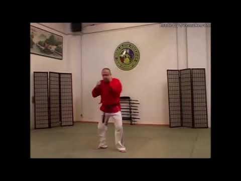5-Punches, Basic Strikes & some blocks - WJJF /JUKO RYU Jujitsu (Kihon / Basics) - YouTube