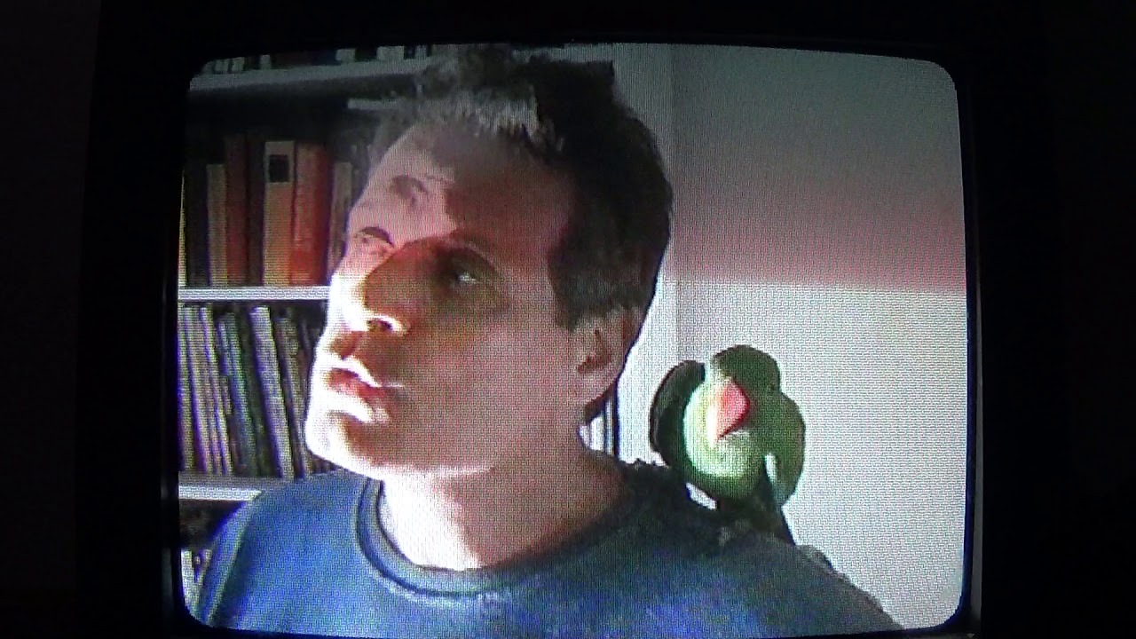 (November 17, 2004) WGAL-TV 8 NBC Lancaster/Lebanon/Harrisburg/York ...