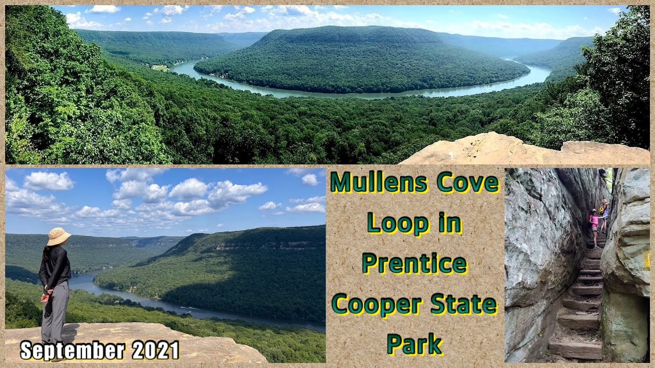Mullens Cove Loop in Prentice Cooper State Forest - YouTube
