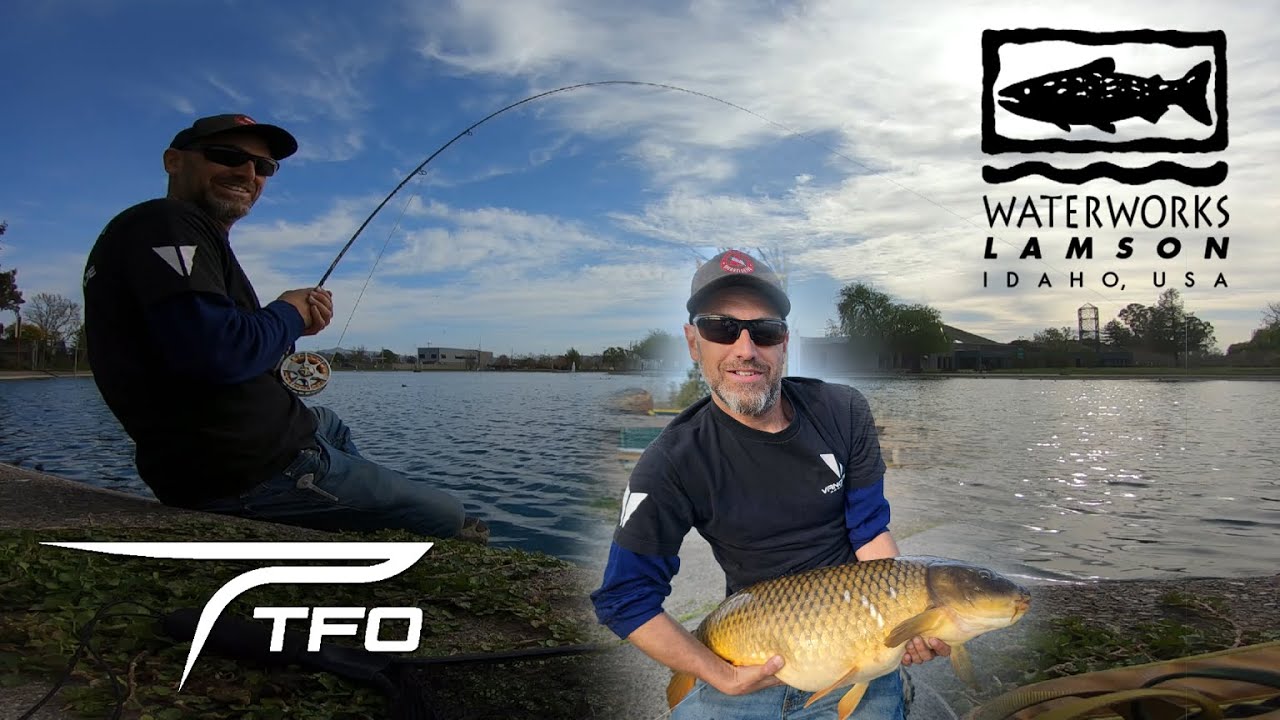 TFO Pro II 6wt & Lamson Liquid -5+ vs HUGE Carp - YouTube