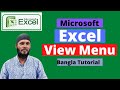 MS Excel View Menu in Bangla - Ziauddin Academy