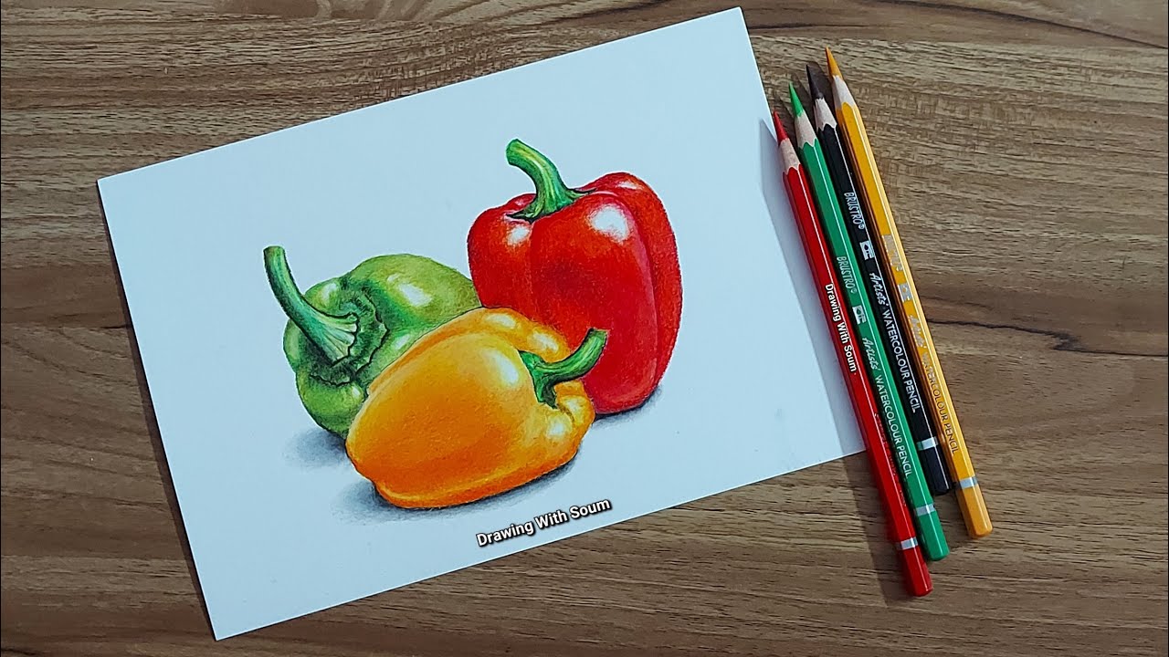 Realistic Capsicum Drawing | Brustro Colour Pencil Drawing | Drawing ...
