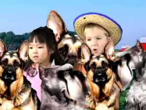 Cuckoo Concertos - YouTube