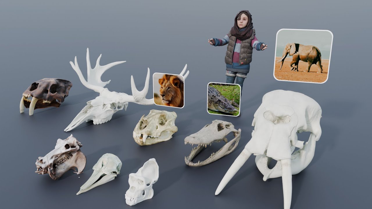 Animal Skull Size Comparison | 3D Animation Comparison - YouTube