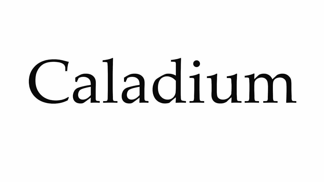 How to Pronounce Caladium - YouTube