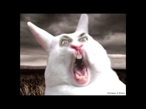 Mad Rabbit - Down by the riverside HD - YouTube