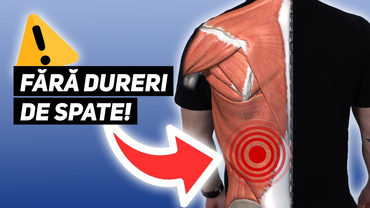 EXERCIȚII PENTRU DURERILE DE SPATE LOMBARE - YouTube