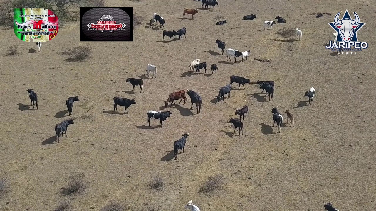 RANCHO REYES MARLBORO - YouTube