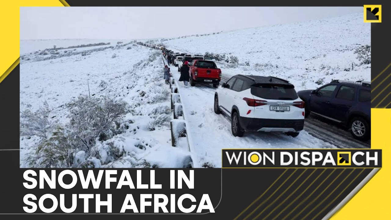 Snow South Africa Getting Bored In SA Is A Choice': Snowfall Brings
