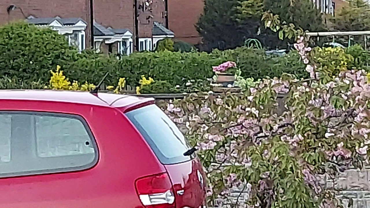 SAMSUNG GALAXY A90 5G, Video camera Zoom test in 4K ( UHD, 30 fps ) review.  NHS clap for Carer's.