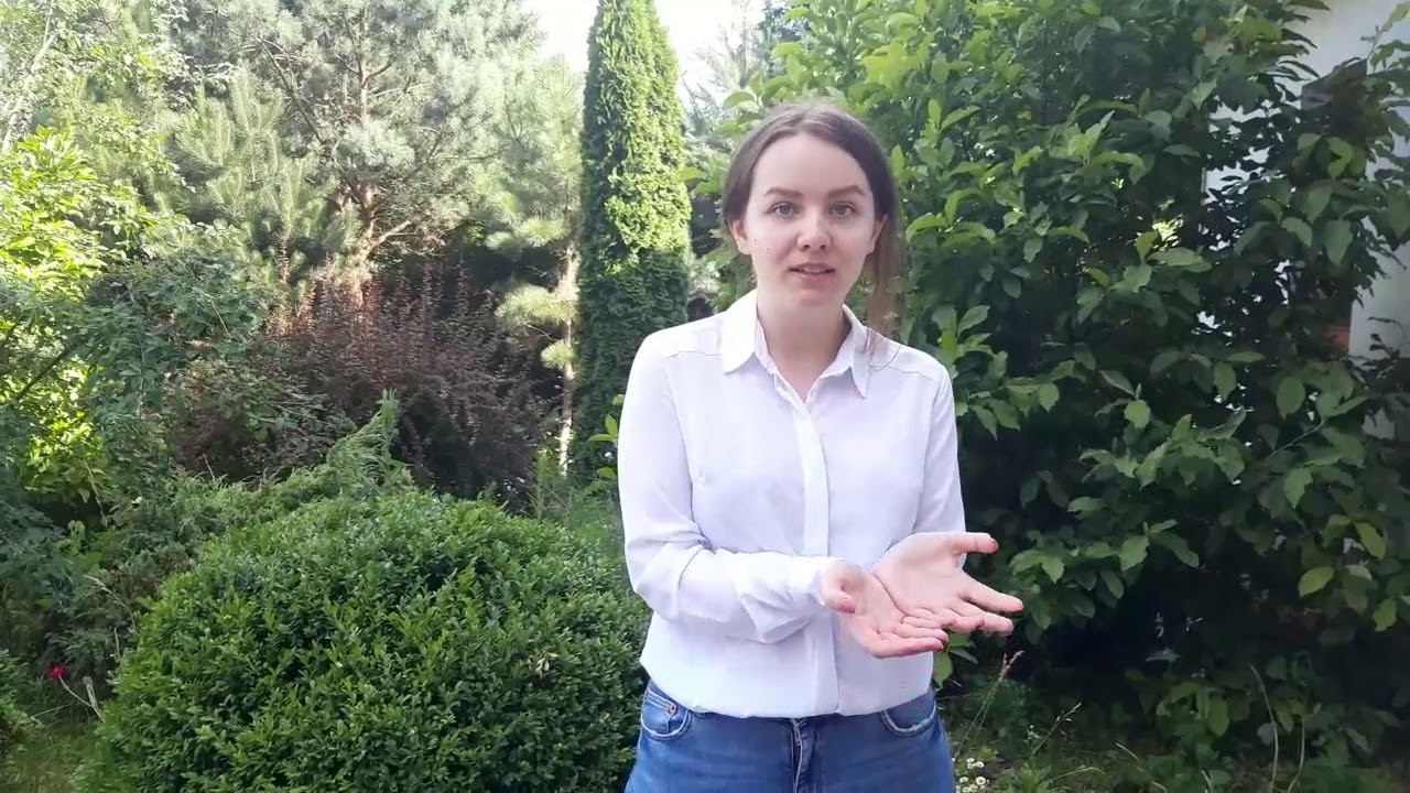 Katarzyna Strzalka's winning entry for an all-expenses paid trip to ...