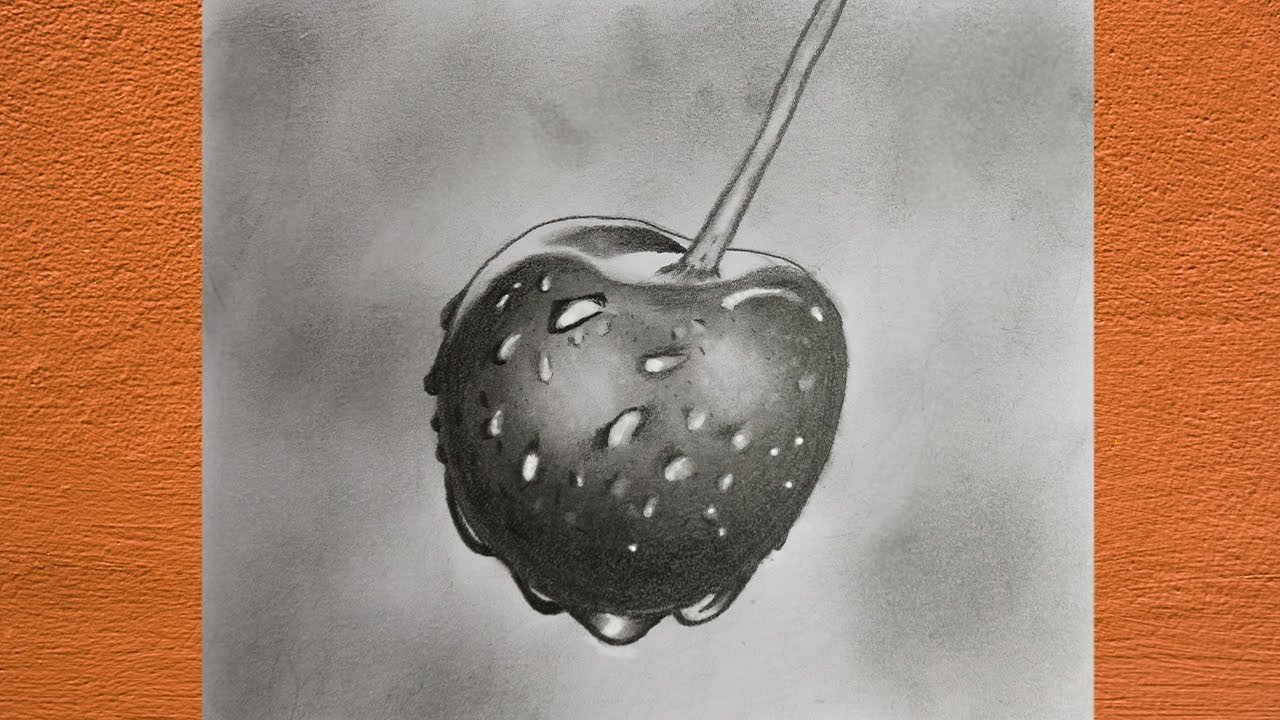Realistic Fruit Drawings Realistic Fruit Illustrations With Colored
