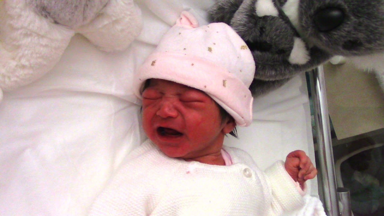 newborn baby, Manon, firstday baby, 아기 마농의 첫날, 아기 첫 날, 아기 동영상,신생아 첫날 ...