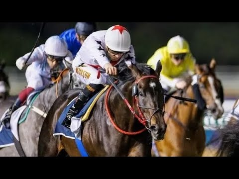DUBAİ MEYDAN HİPODROMUN'DA AEGEAN FINALE VE AYHAN KURŞUN RÜZGARI