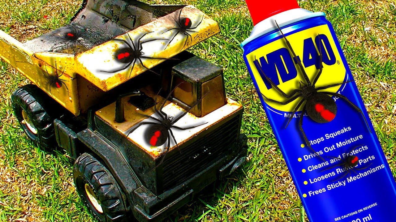Deadly Redback Spiders On Tonka Toys WD40 One Year Later Study ...