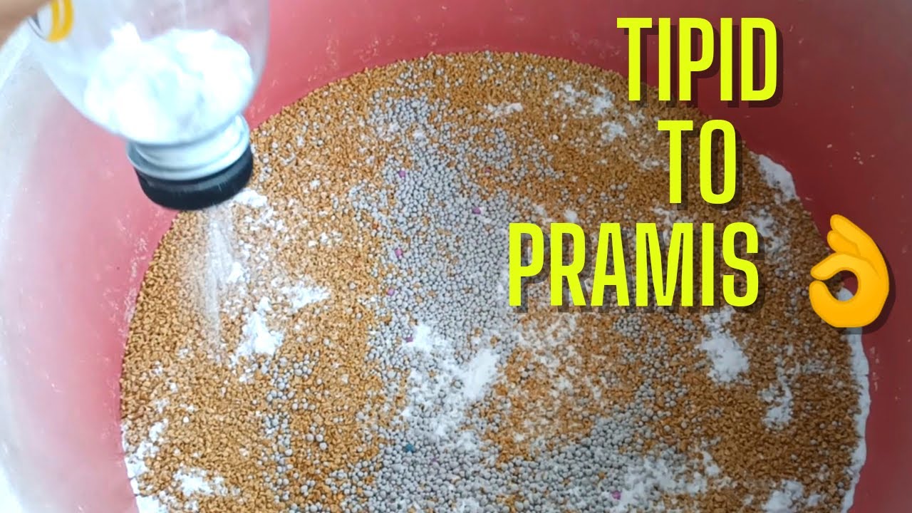 DIY Cat Sand | Pinaka Murang Cat Sand | Kwentong Pov - YouTube