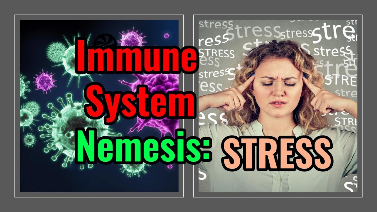 【Boost Your Immune System Reaction】 Unraveling the Impact of Mental ...