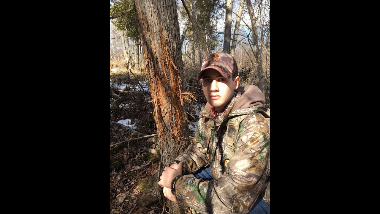 Public Land Scouting And Shedding, 2017 - YouTube