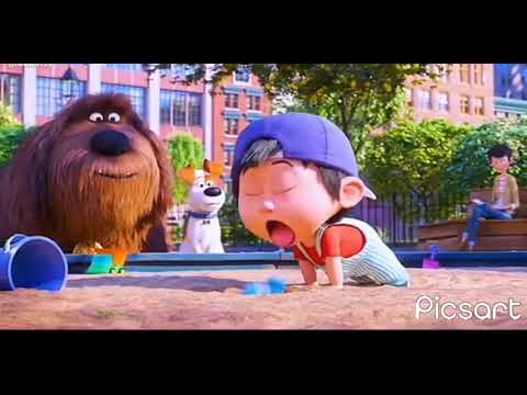 sun fani animl shots videos# fani videos sun&anim l