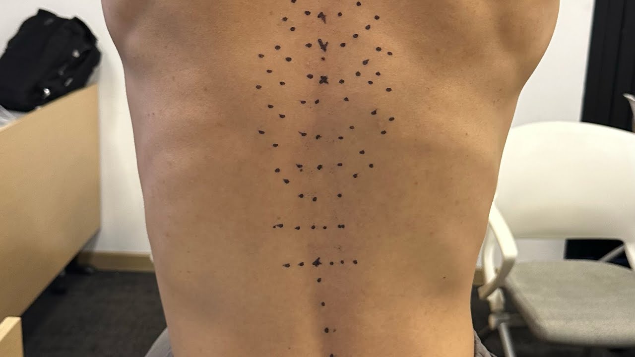 Anatomía palpatoria - Samuel Oñate - YouTube