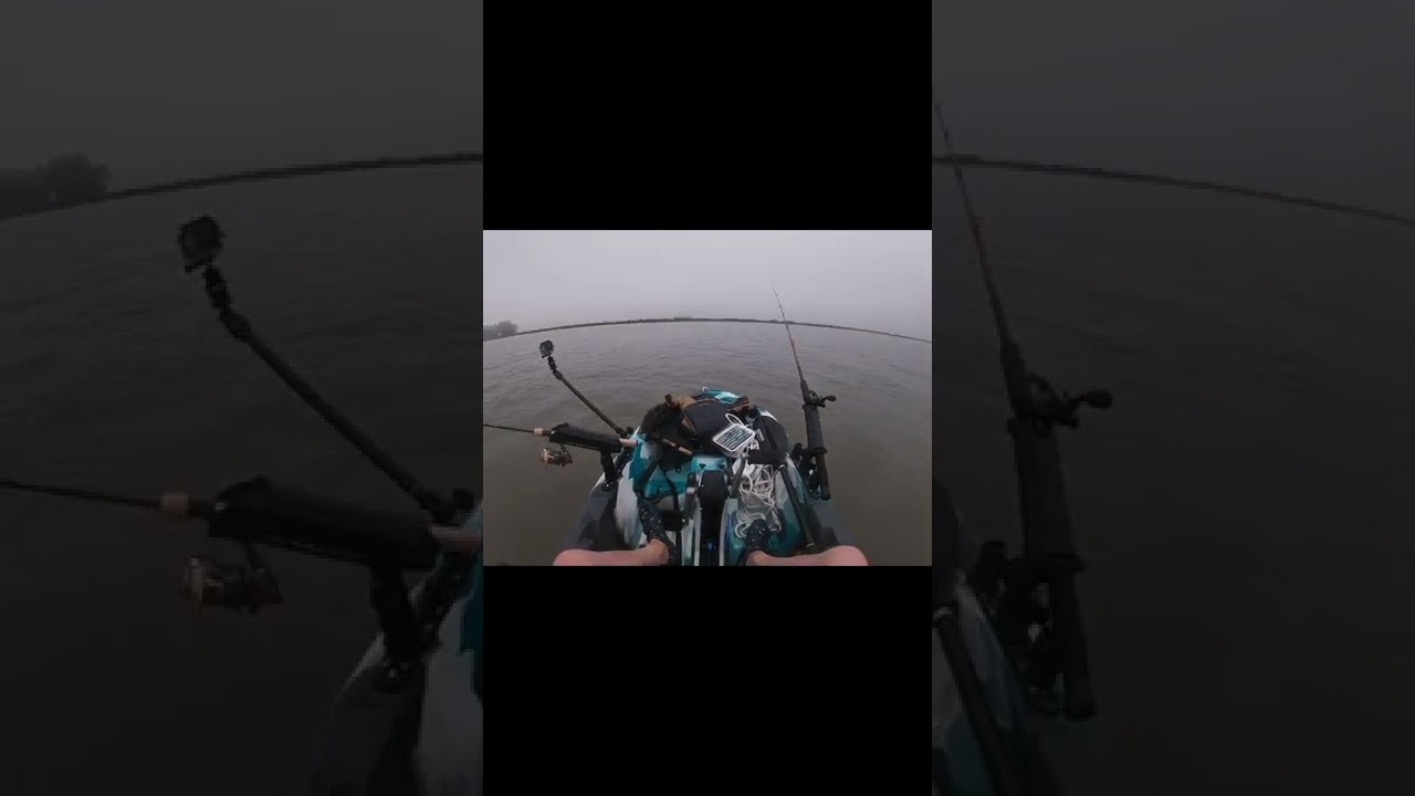 Petaluma river fishing - YouTube